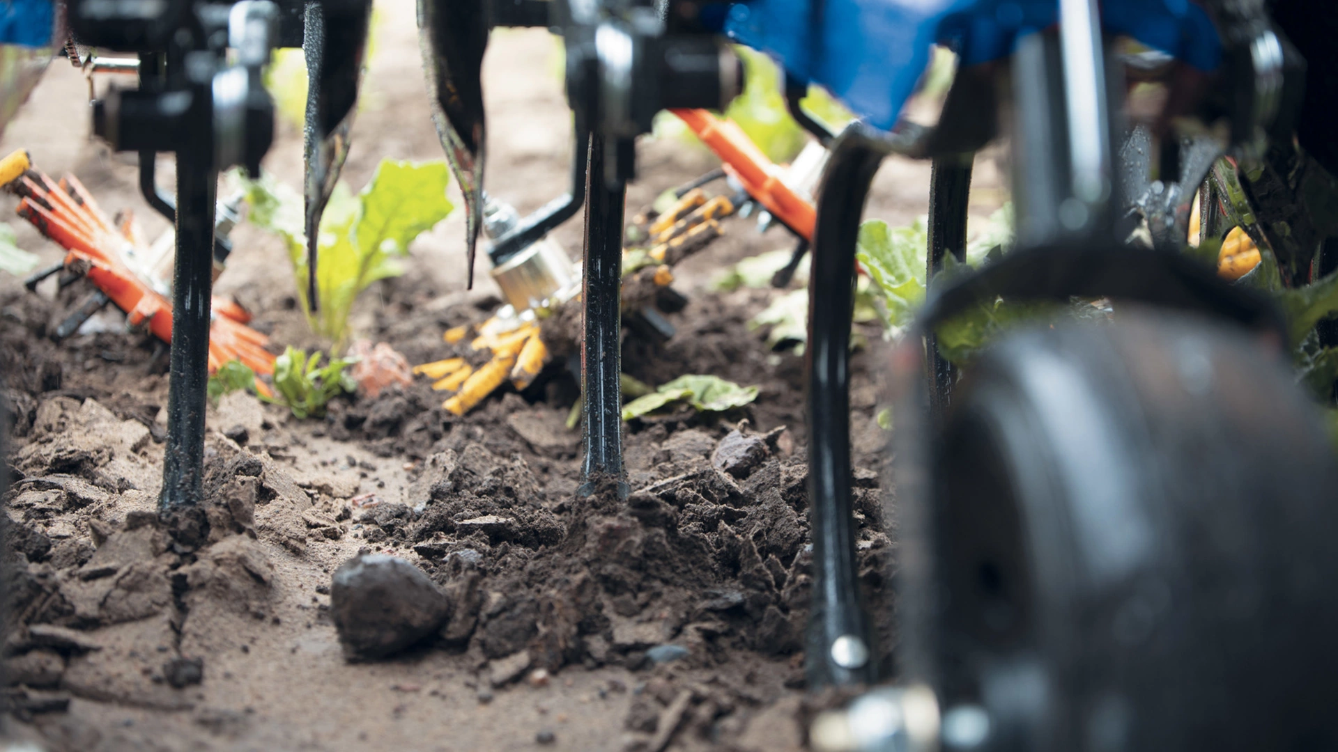 SRC & SRC Smartsteer™ Inter-Row Cultivators | New Holland UK