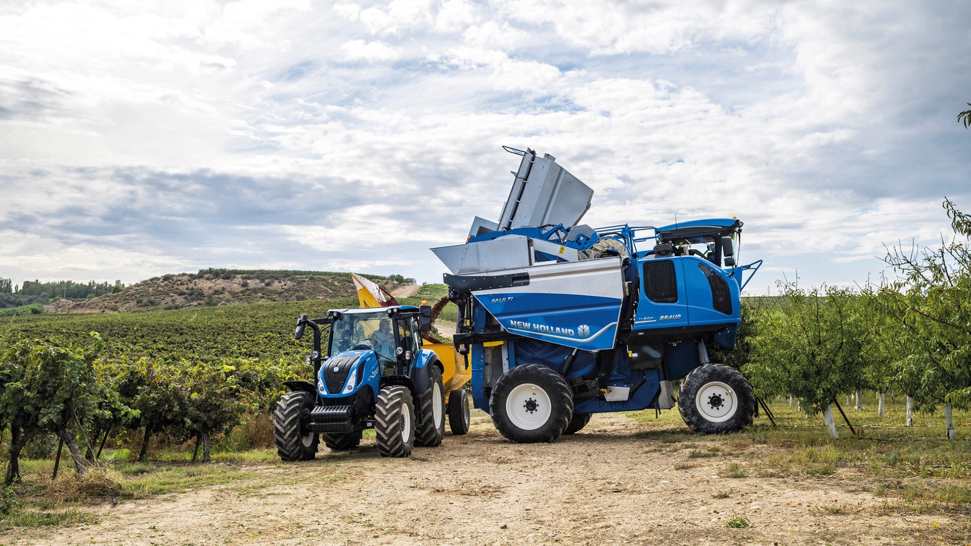 Braud 11.90X Multi: Raccolta di Olive e Mandorle | New Holland IT