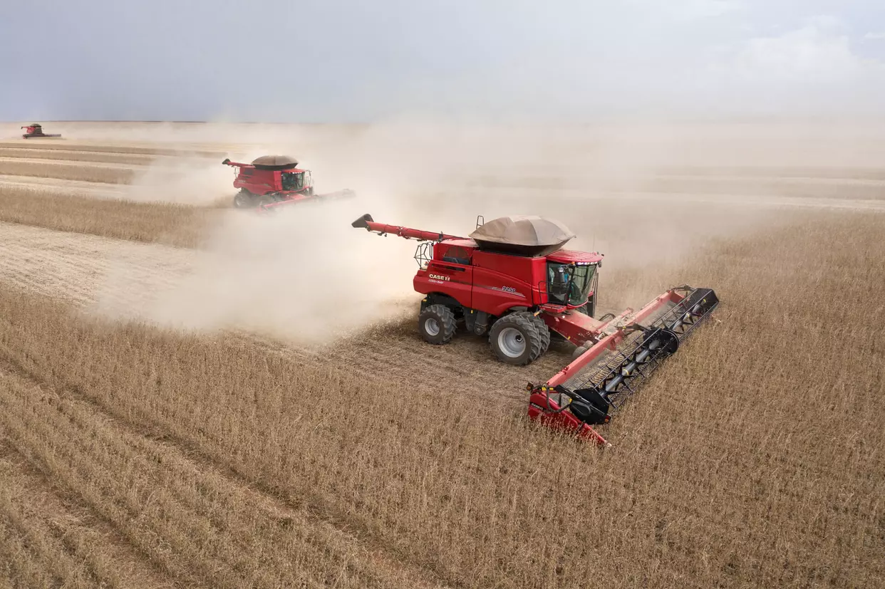 Cosechadora Axial Flow 250 | Case IH Argentina