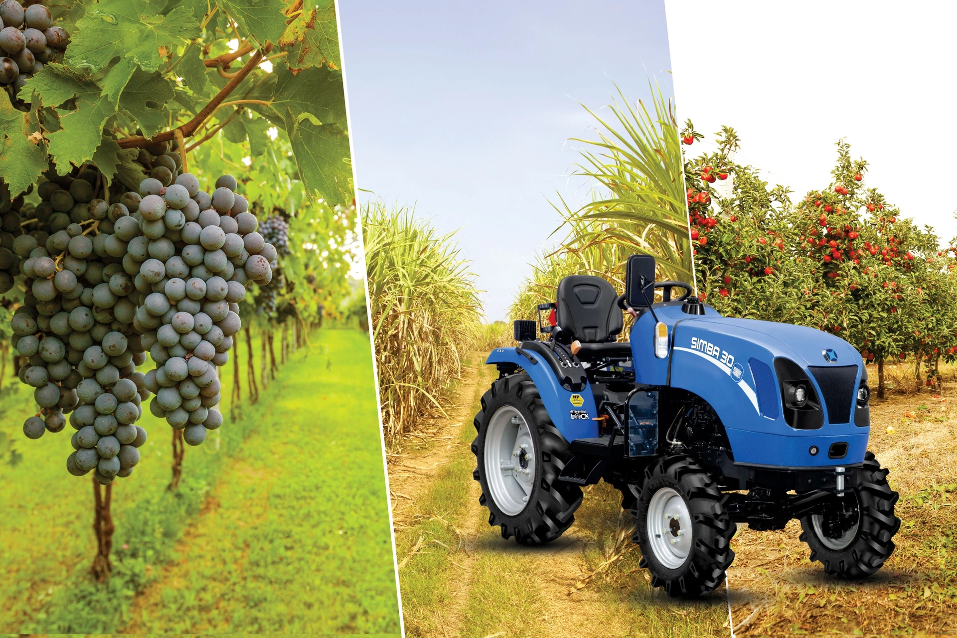 Farm Tractors Simba 30 | New Holland
