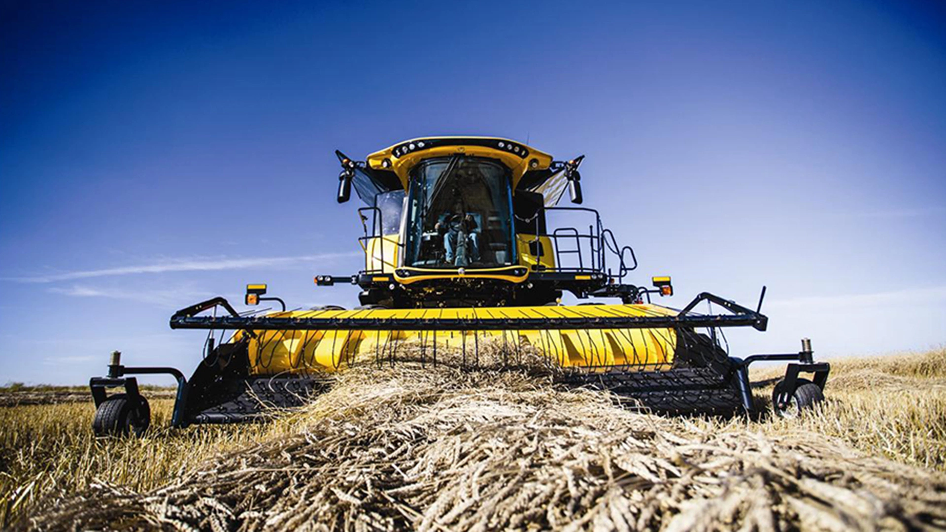 Pickup Heads - Bean Header | New Holland