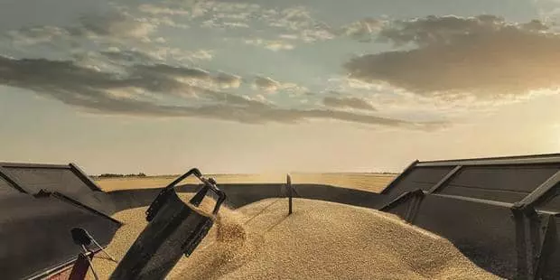 Axial-Flow 250 Series | Case IH | Case IH