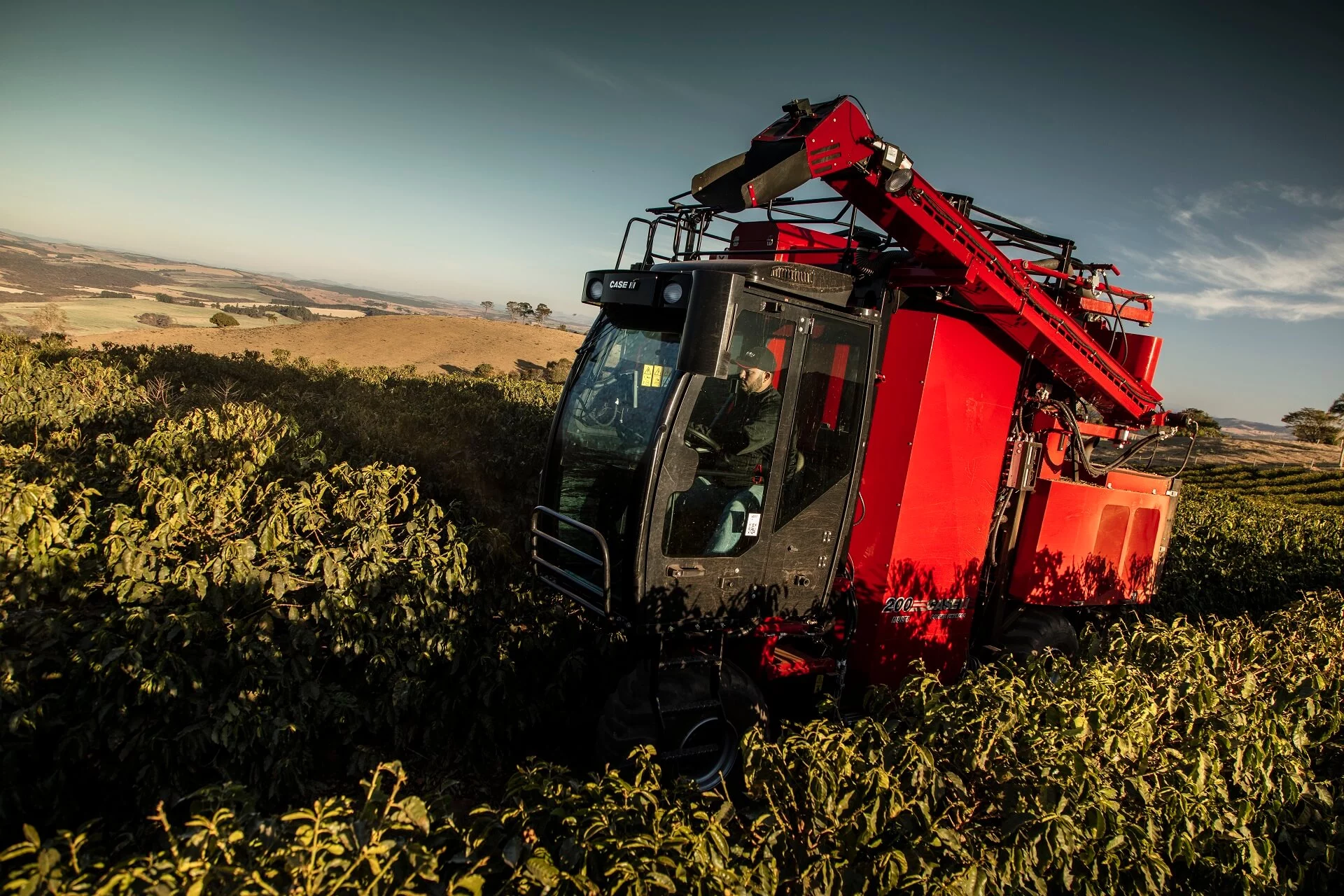 Colhedoras de Café | Case IH Brasil