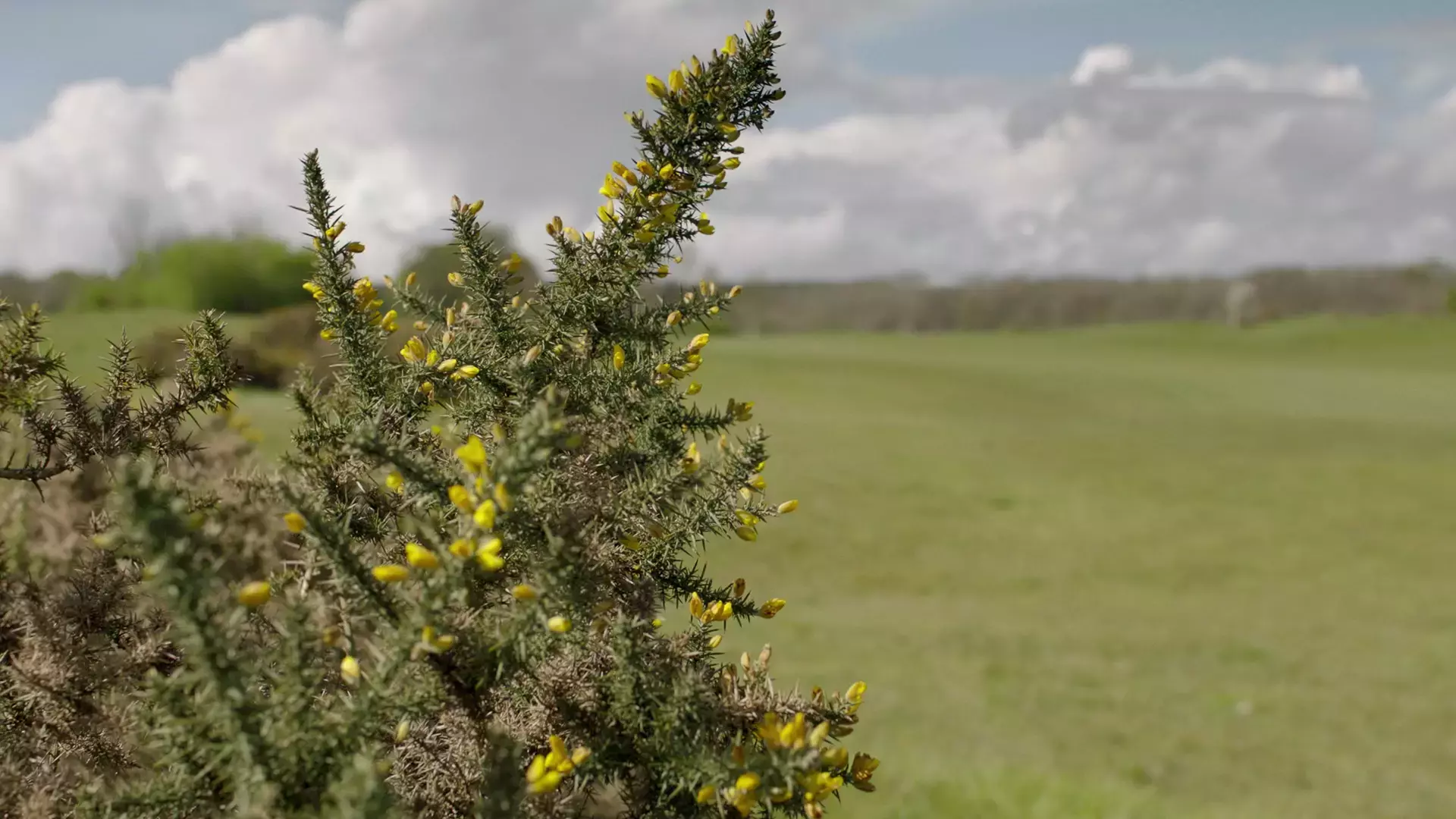 Små- och Gräsklippartraktorer Boomer | New Holland SV