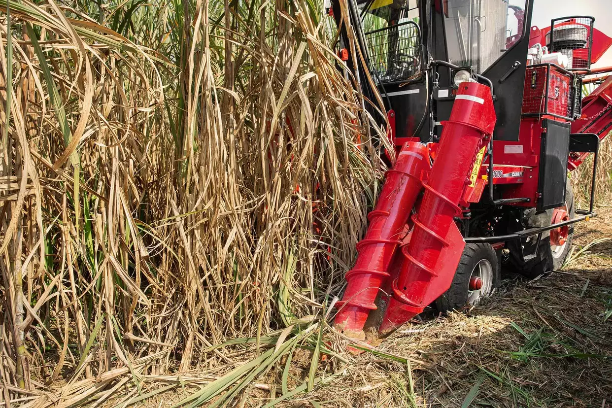 Sugar Cane Harvester Austoft 4000 | Case IH | Case IH