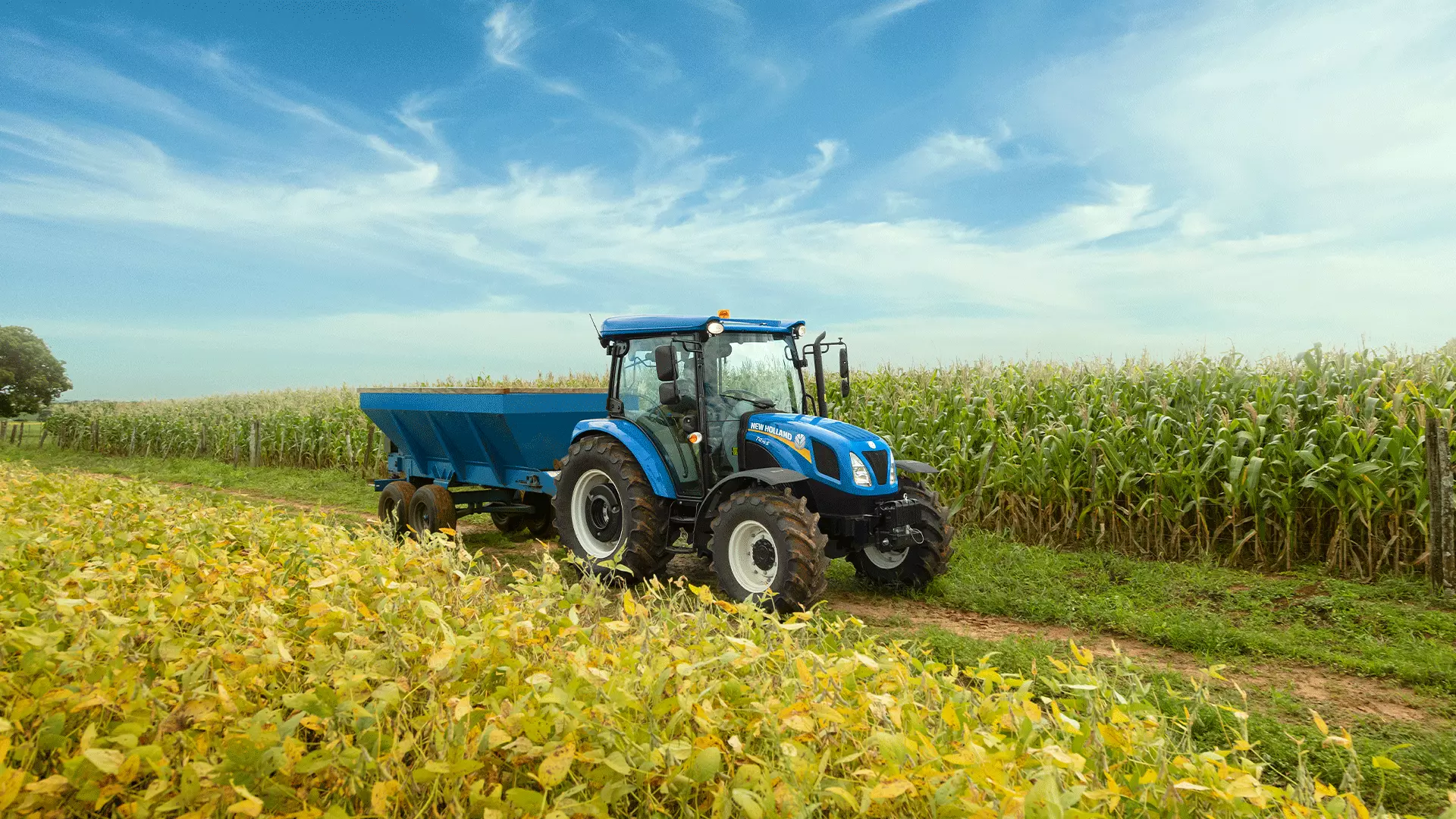 Trator T4.75S New Holland | Compacto, Potente e Versátil | New Holland BR