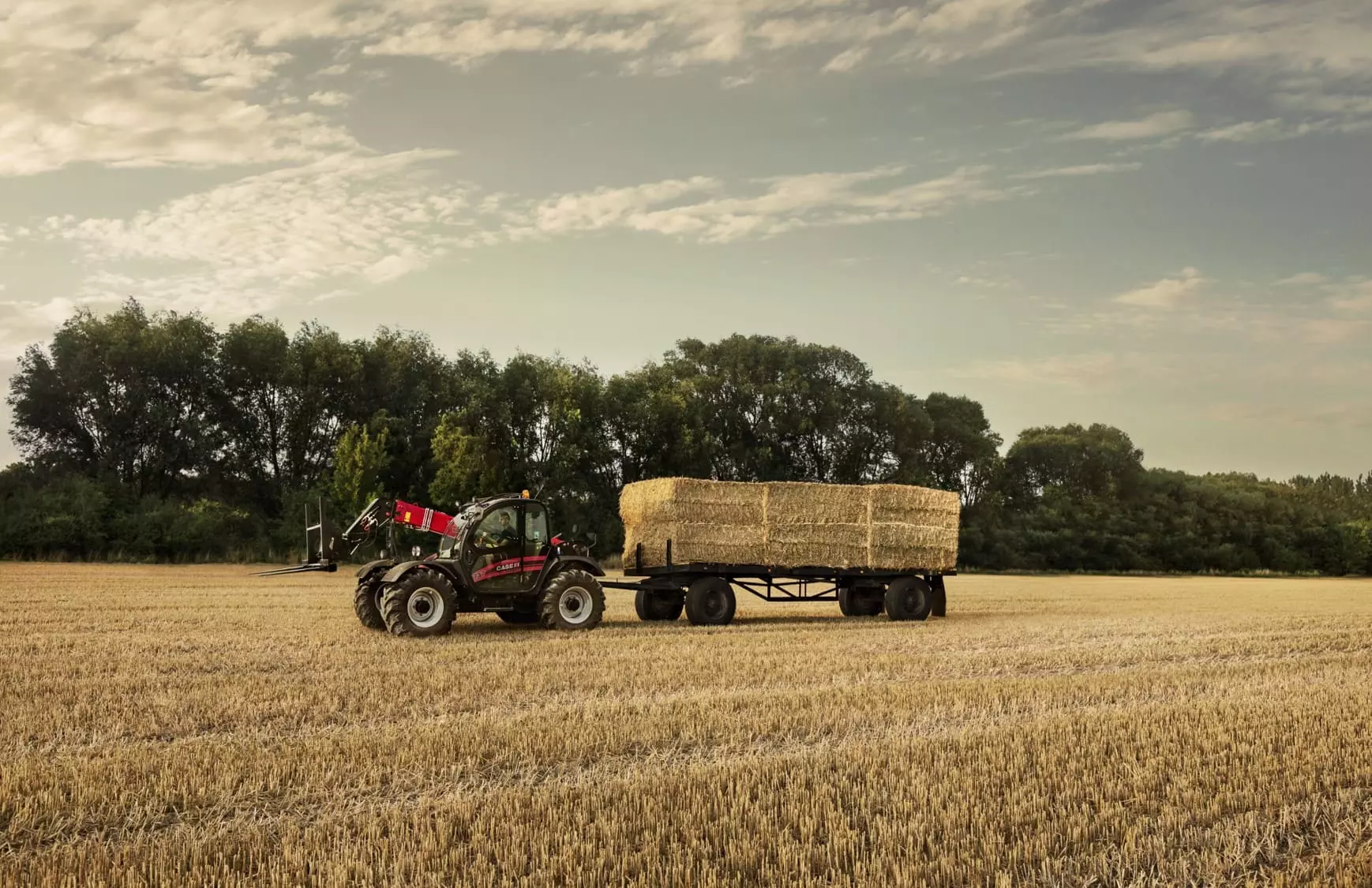 Farmlift | Telescopic Loader | Products | Case IH