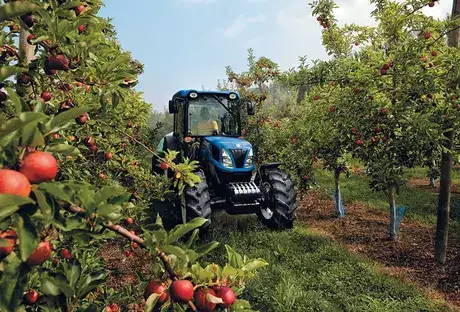 T4 F/V Narrow Tractor - Orchard Tractors | New Holland