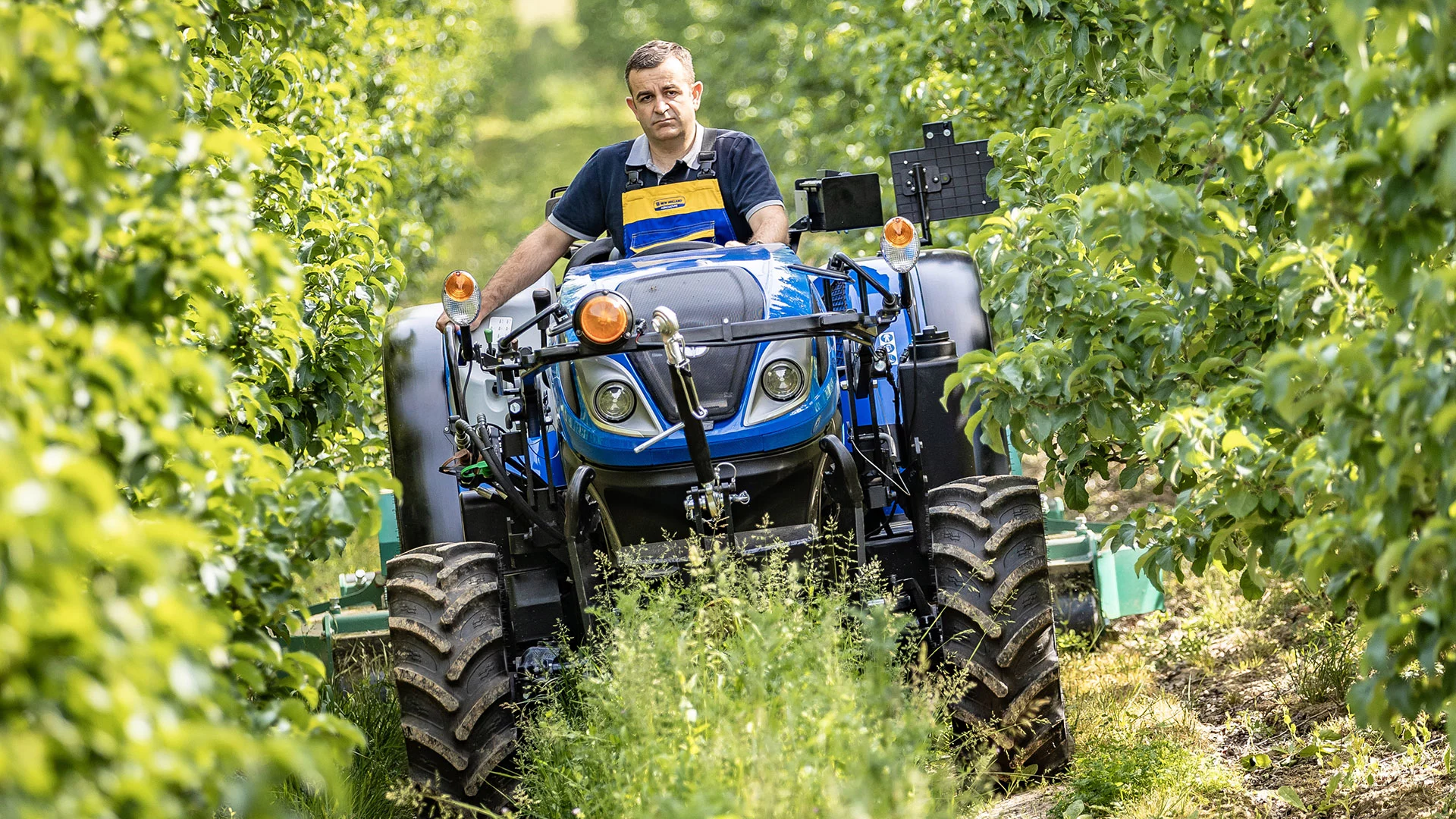 Trattore da Frutteto T4F S | New Holland IT