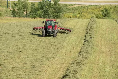 Wheel Rakes | Case IH | Case IH