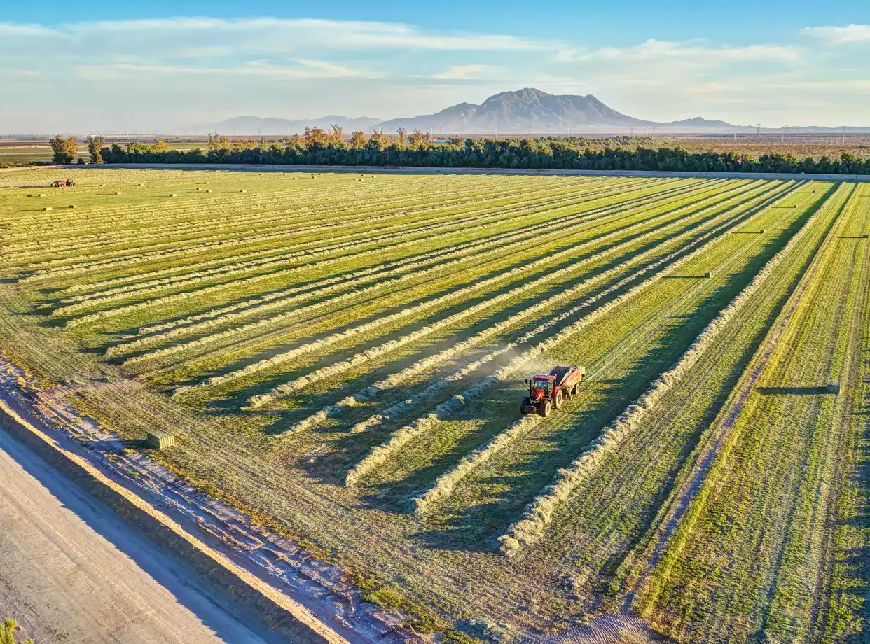 Large Square Balers | Hay and Foraging Equipment | Case IH