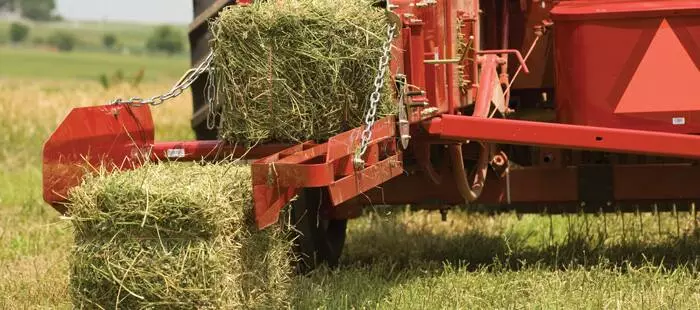 Small Baler BC 5000 | New Holland ZA