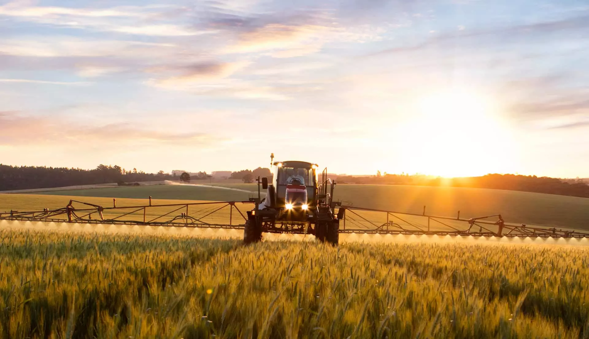 Patriot 250 | Patriot Sprayers | Application Equipment | Case IH | Case IH