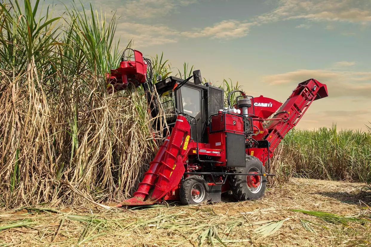 Austoft 4000 sugarcane harvesters | Harvesting | Case IH | Case IH