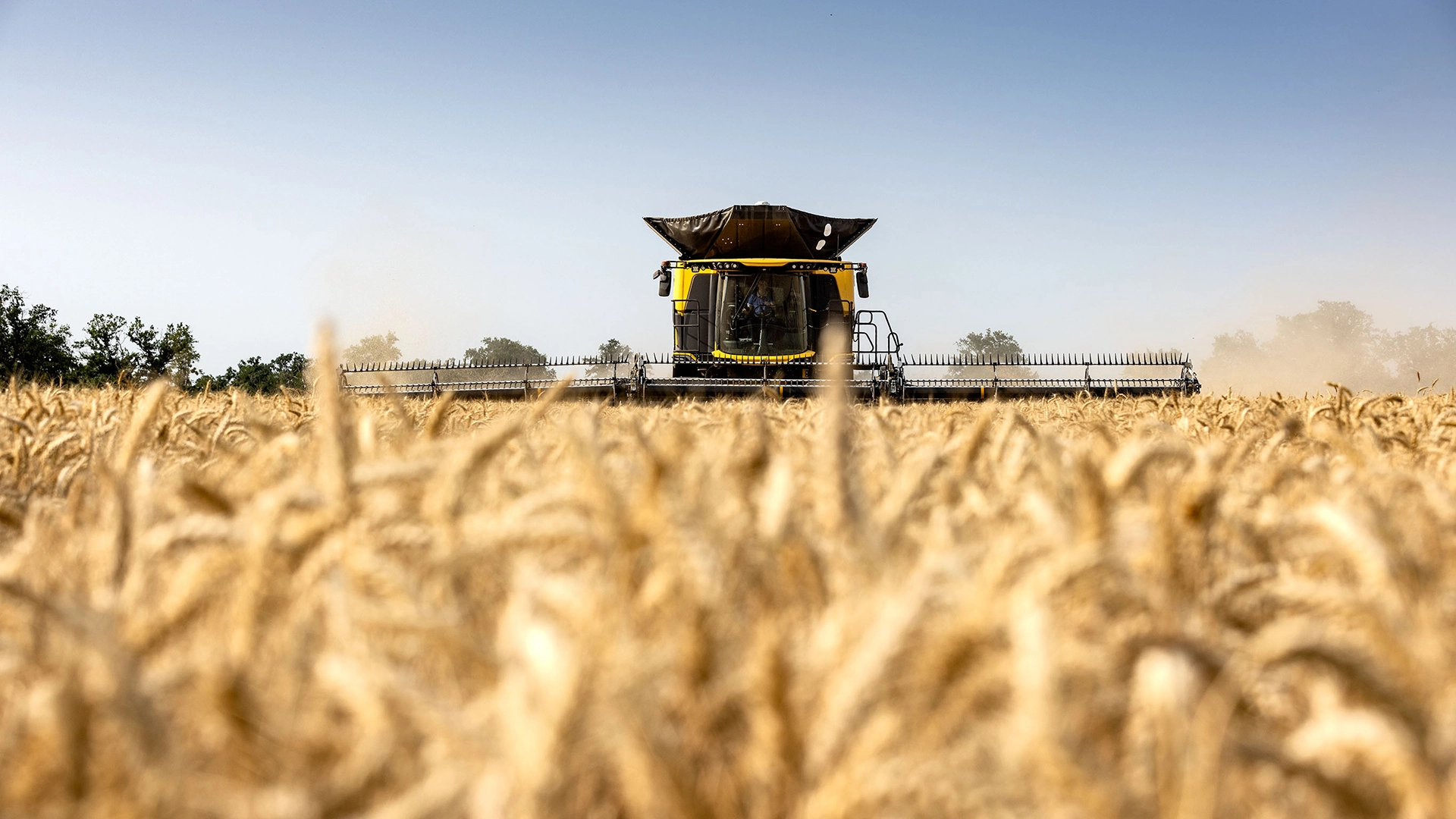 Combine Harvesters CR10 & CR11 | New Holland AU