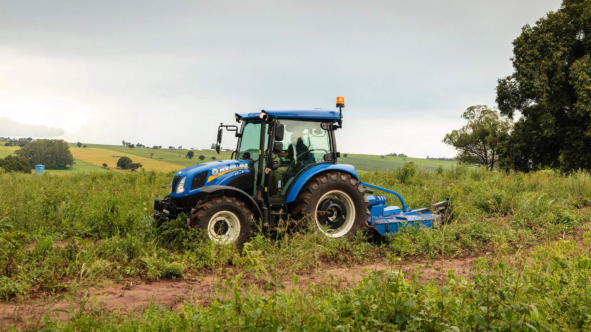 Trator T4.75S New Holland | Compacto, Potente e Versátil | New Holland BR