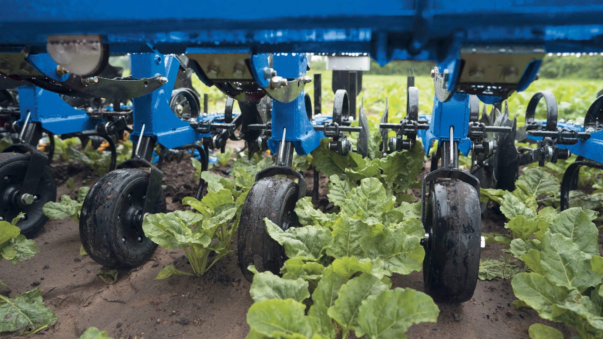 SRC & SRC Smartsteer™ Inter-Row Cultivators | New Holland UK