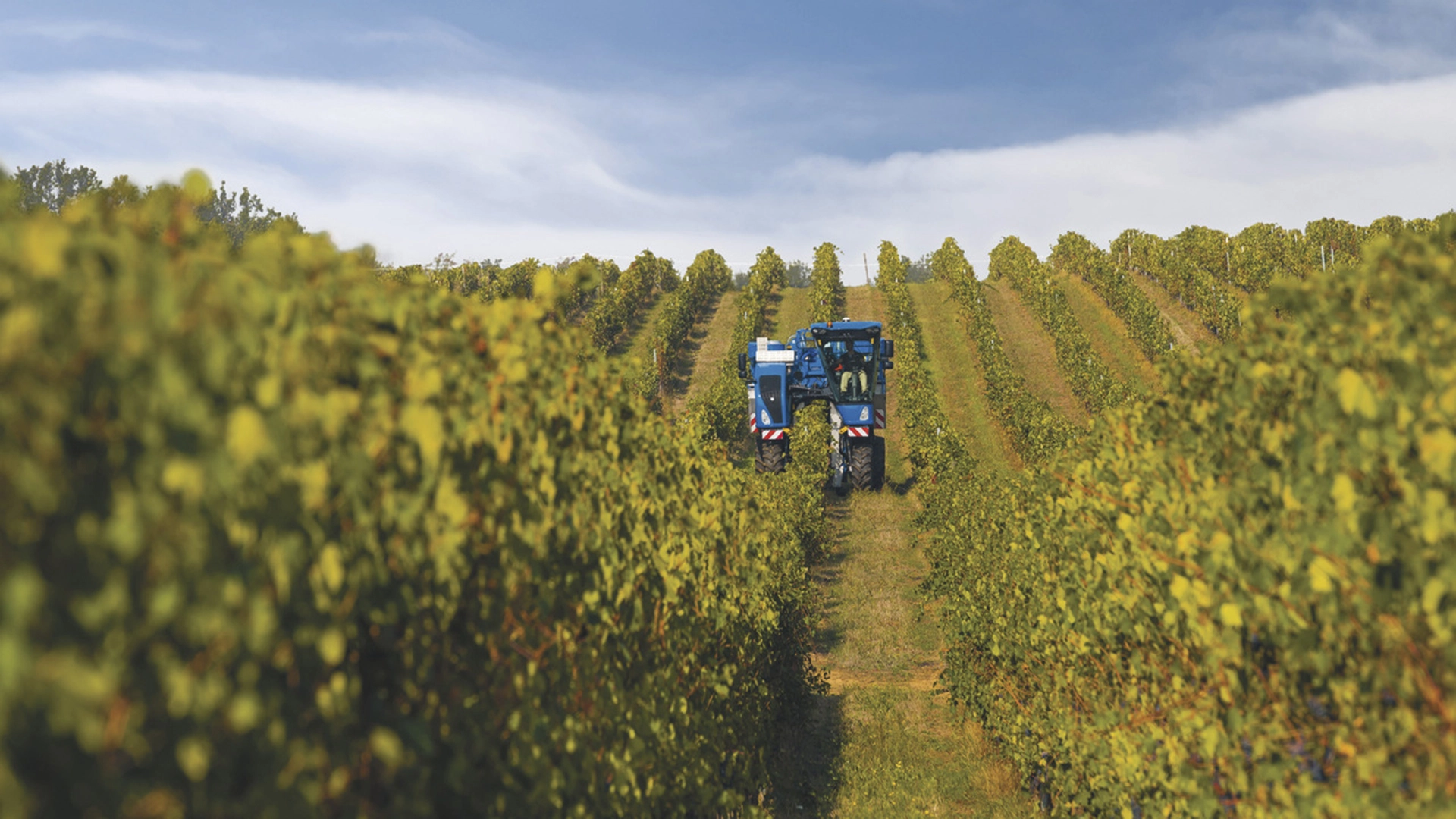 Braud High Capacity | Grape Harvesters | New Holland UK