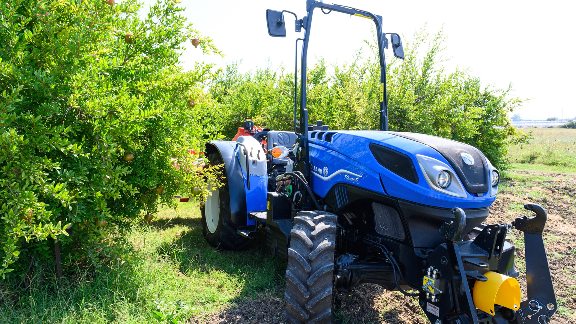 Trattore da Frutteto T4F S | New Holland IT