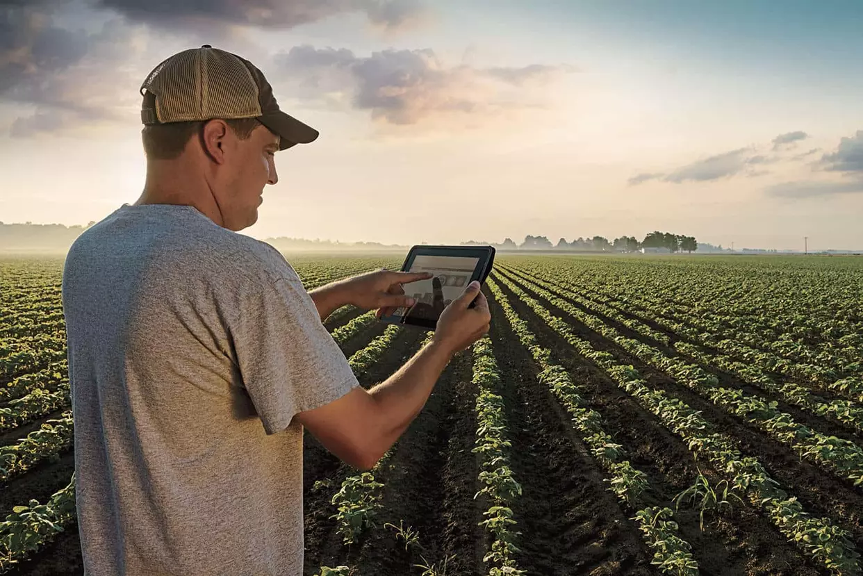 Windrowers | Case IH | Case IH