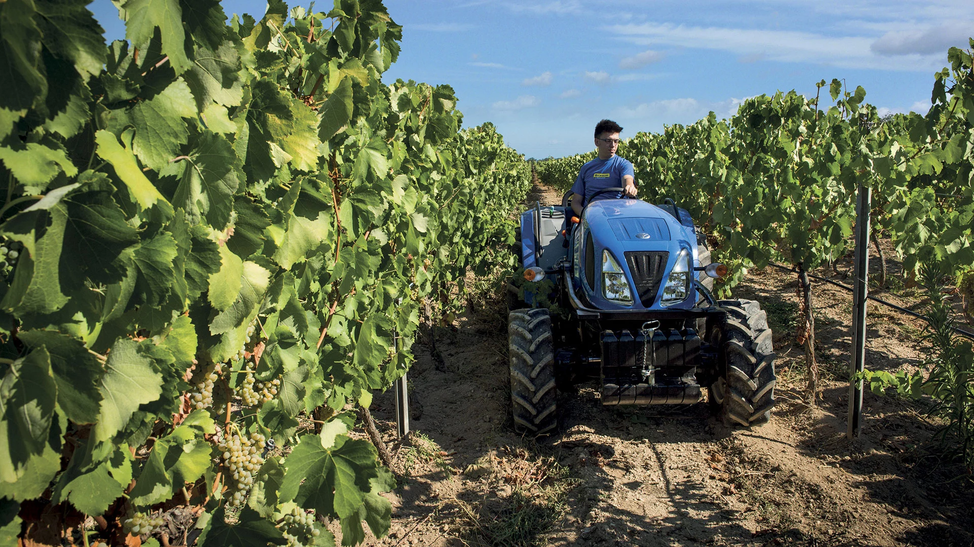 Tracteur Agricole T3F