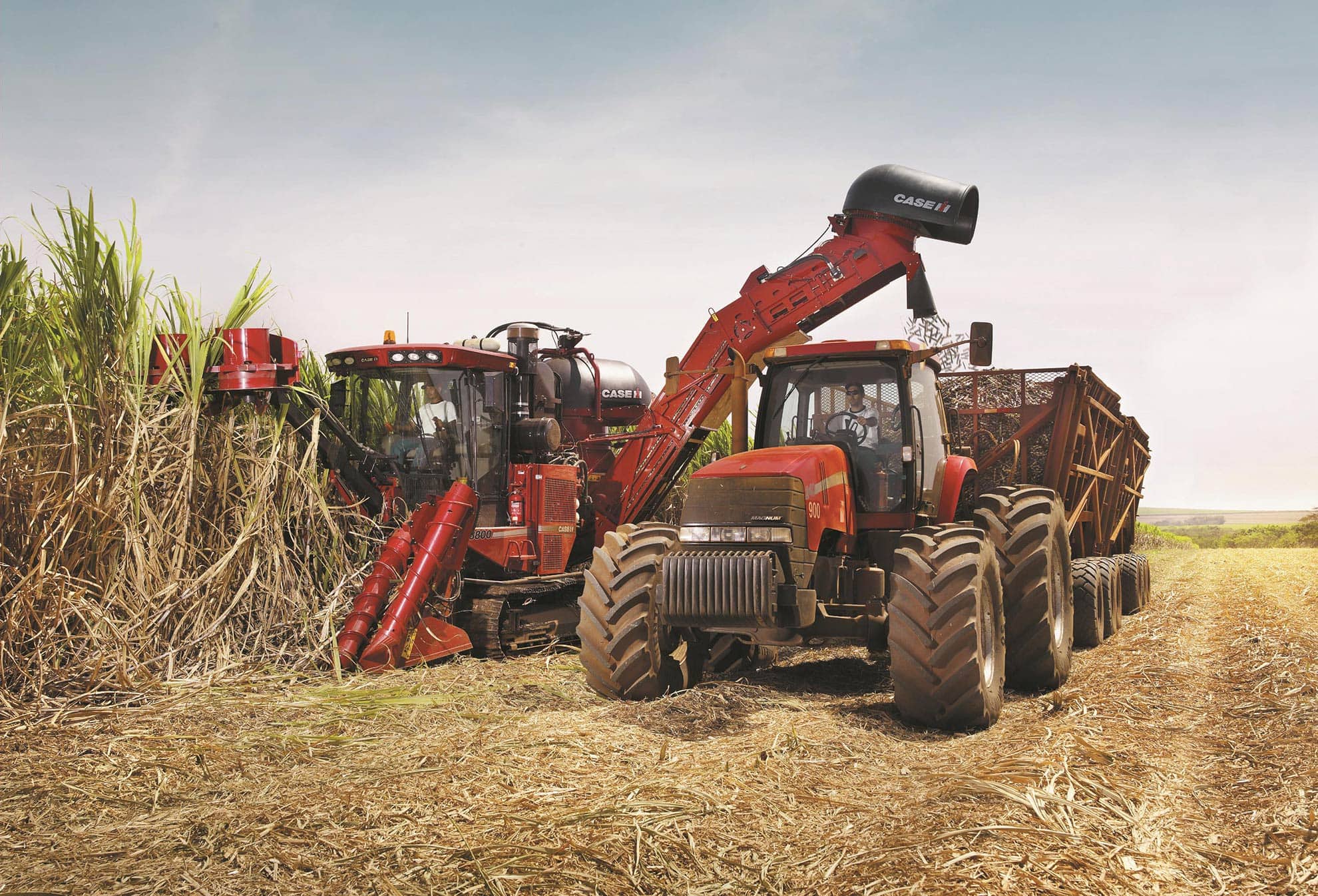 Sugarcane Harvesters Austoft Series | Case IH
