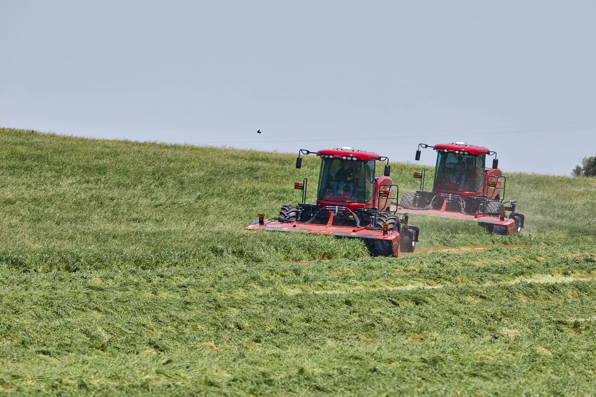 Windrowers | Case IH | Case IH