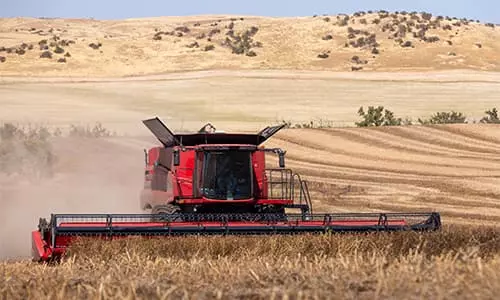 Axial-Flow Combine Harvesters | Case IH | Case IH