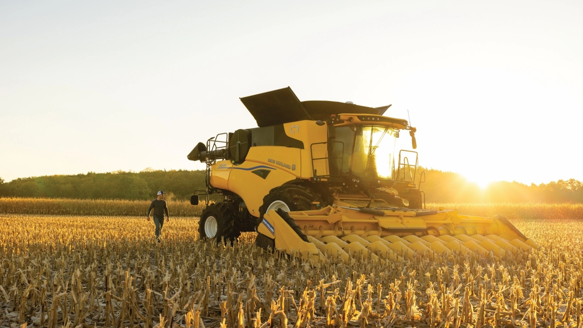 Cueilleurs de maïs | New Holland CA