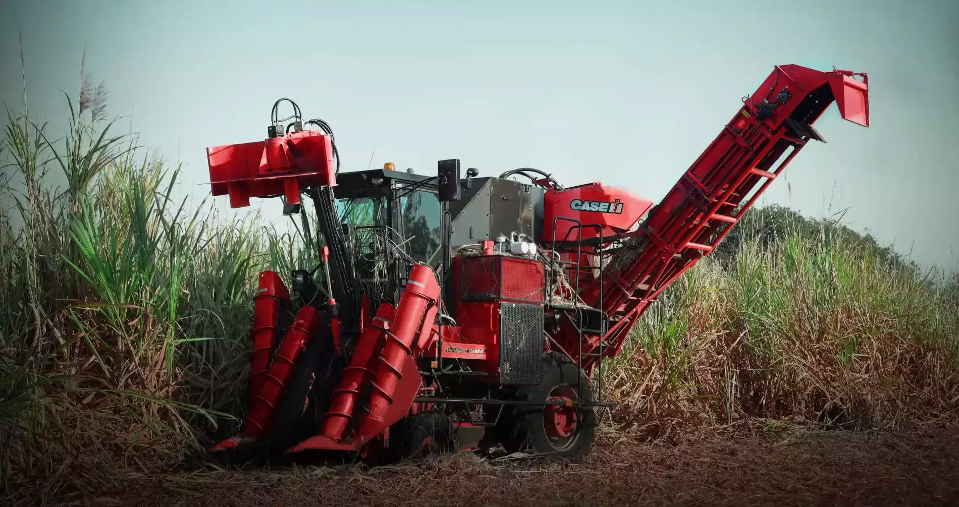 Case IH | Sugarcane Harvesters | Case IH