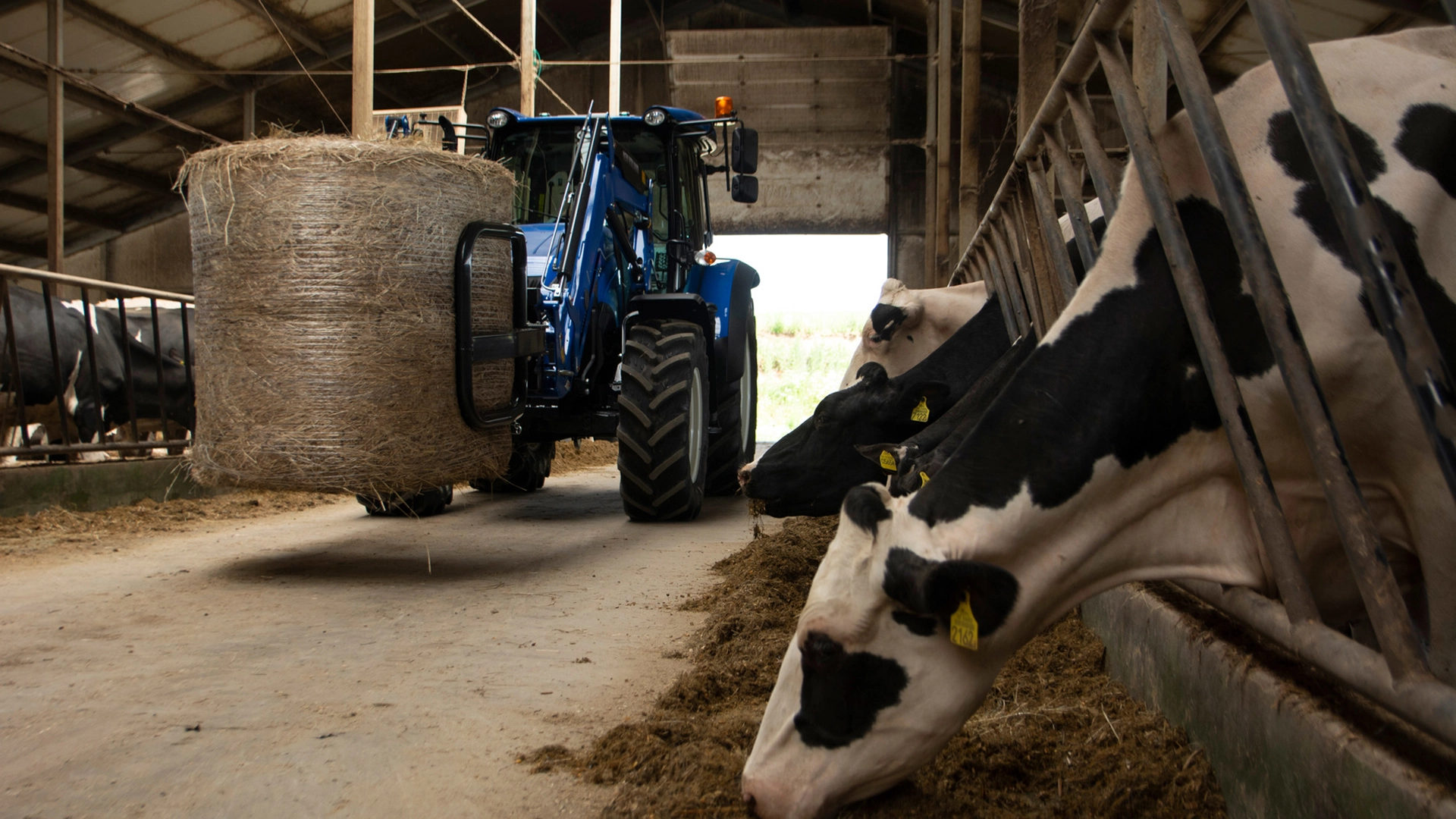 T5S: Agil und Zuverlässig Traktor | New Holland DE