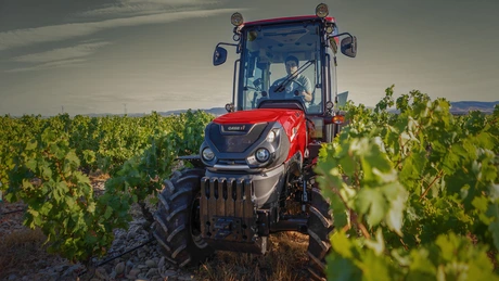 Orchard Tractors: Farmall CL | Case IH