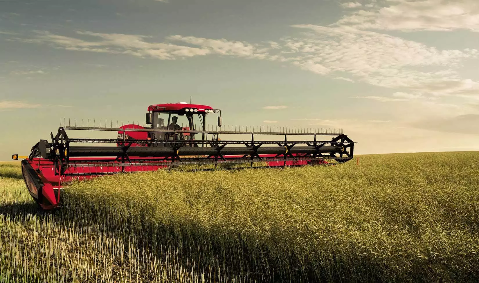 Windrowers | Case IH | Case IH