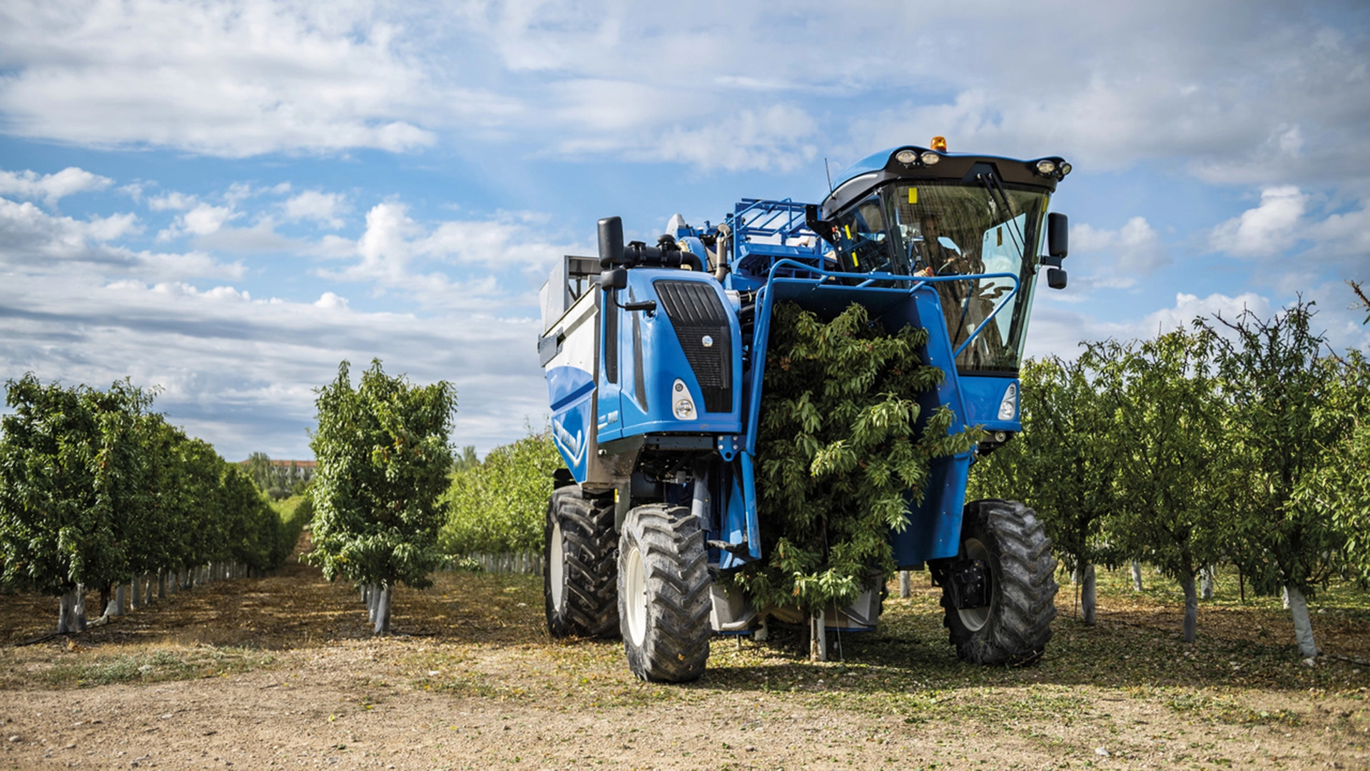 Braud 11.90X Multi: Raccolta di Olive e Mandorle | New Holland IT