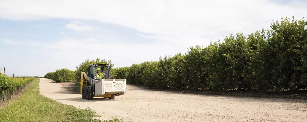 L316 Skid Steer Loader | New Holland