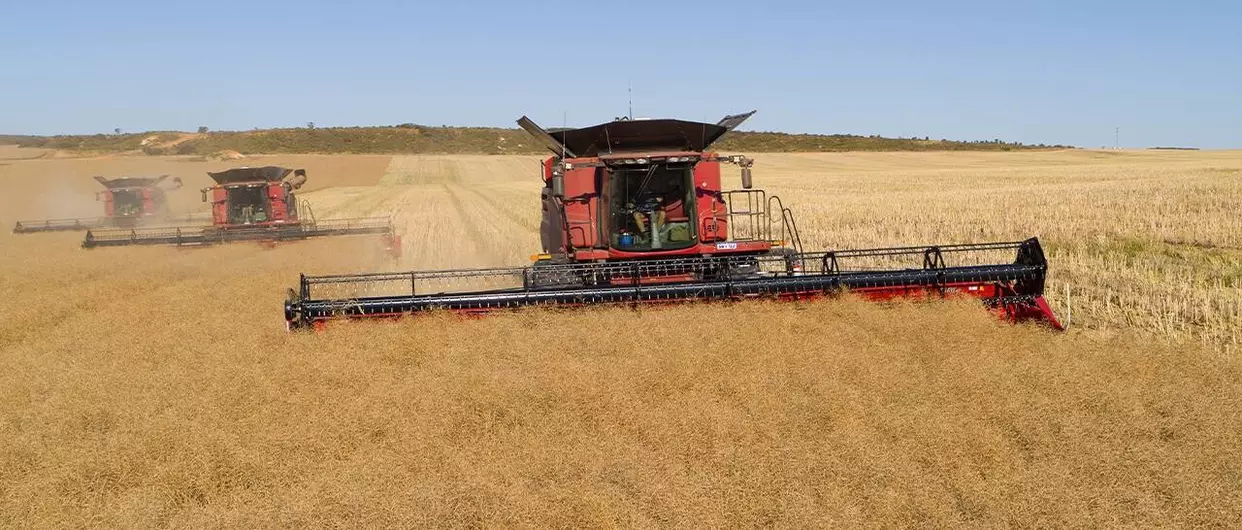 Axial-Flow Combine Harvesters | Case IH | Case IH