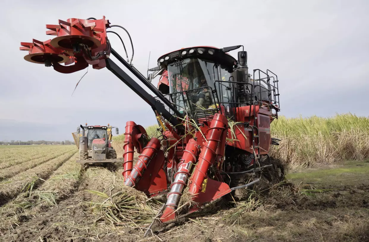 Sugarcane Harvesters Austoft Series | Case IH