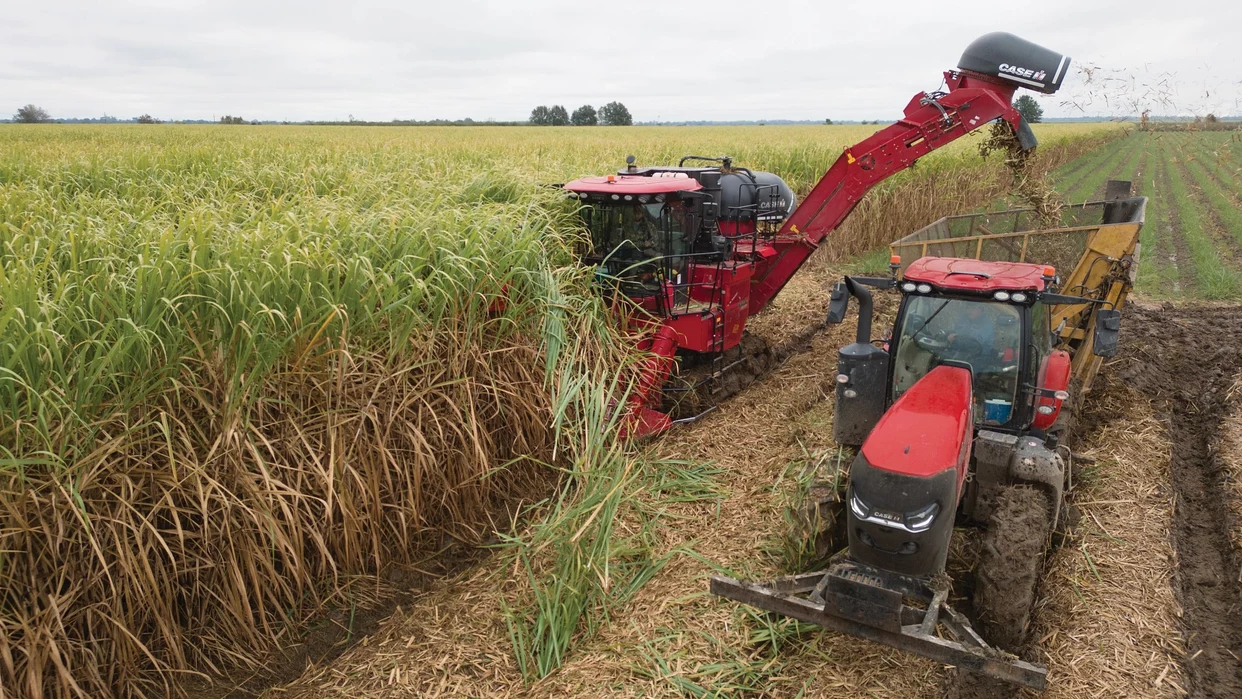 Sugarcane Harvesters Austoft Series | Case IH