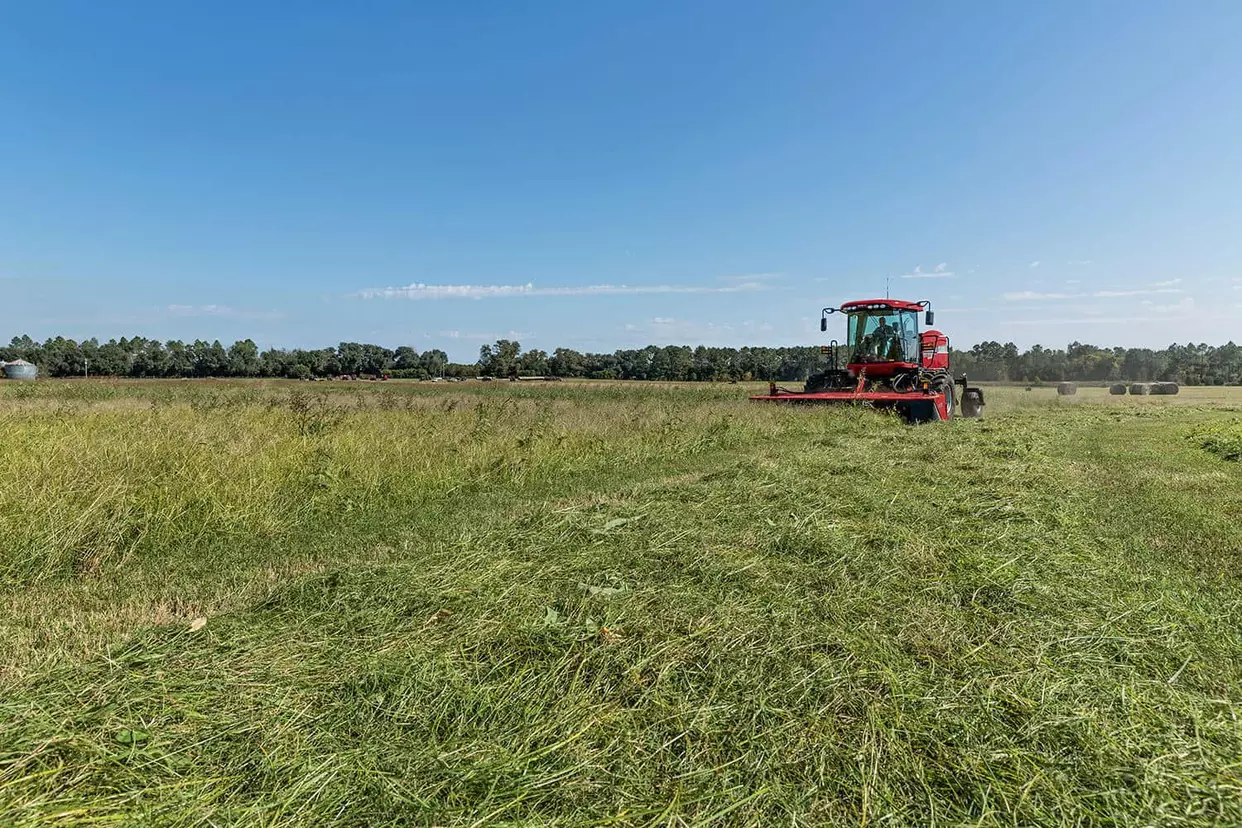 Windrowers | Case IH | Case IH