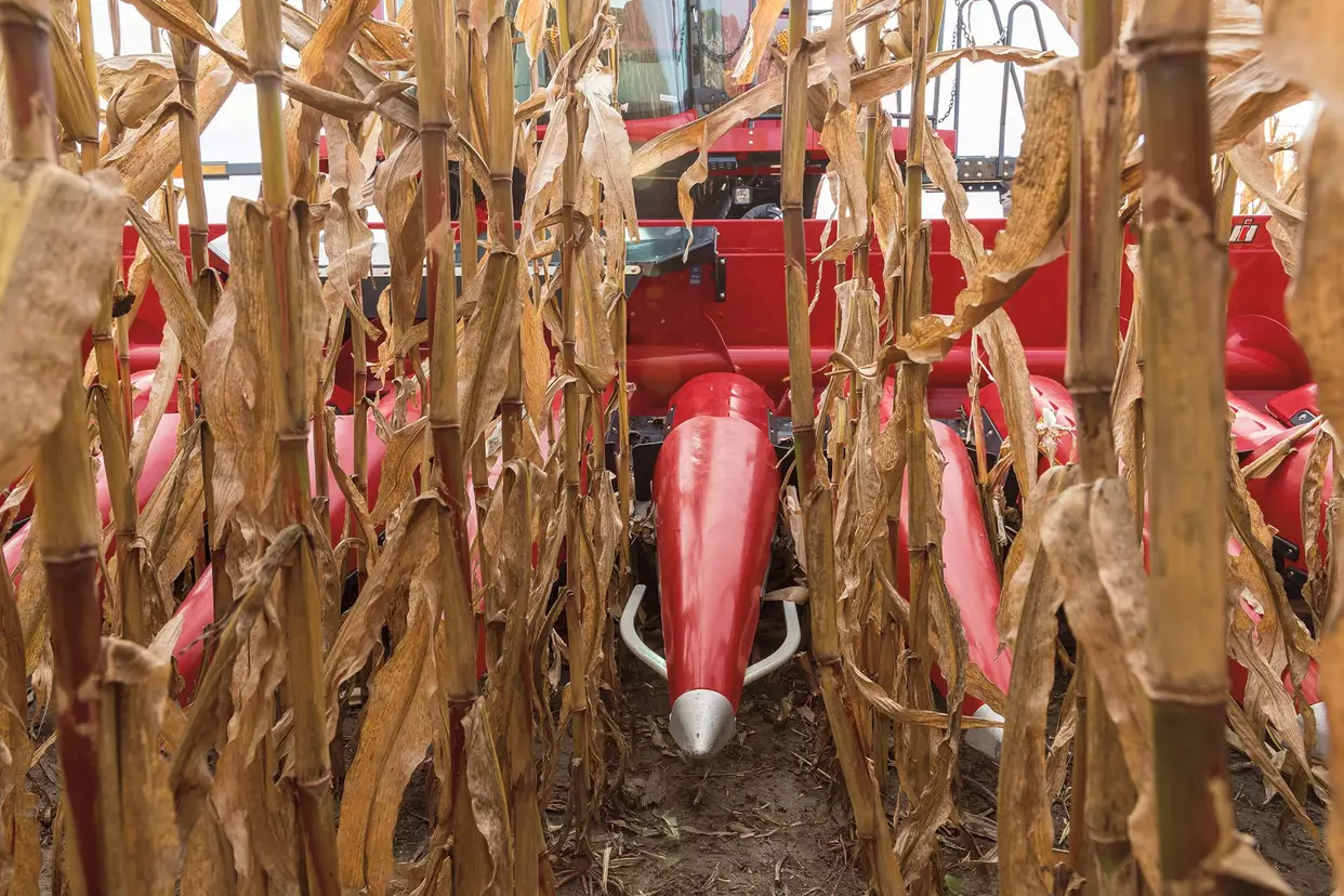 Combine Headers | Corn Heads 4400 Series | Case IH