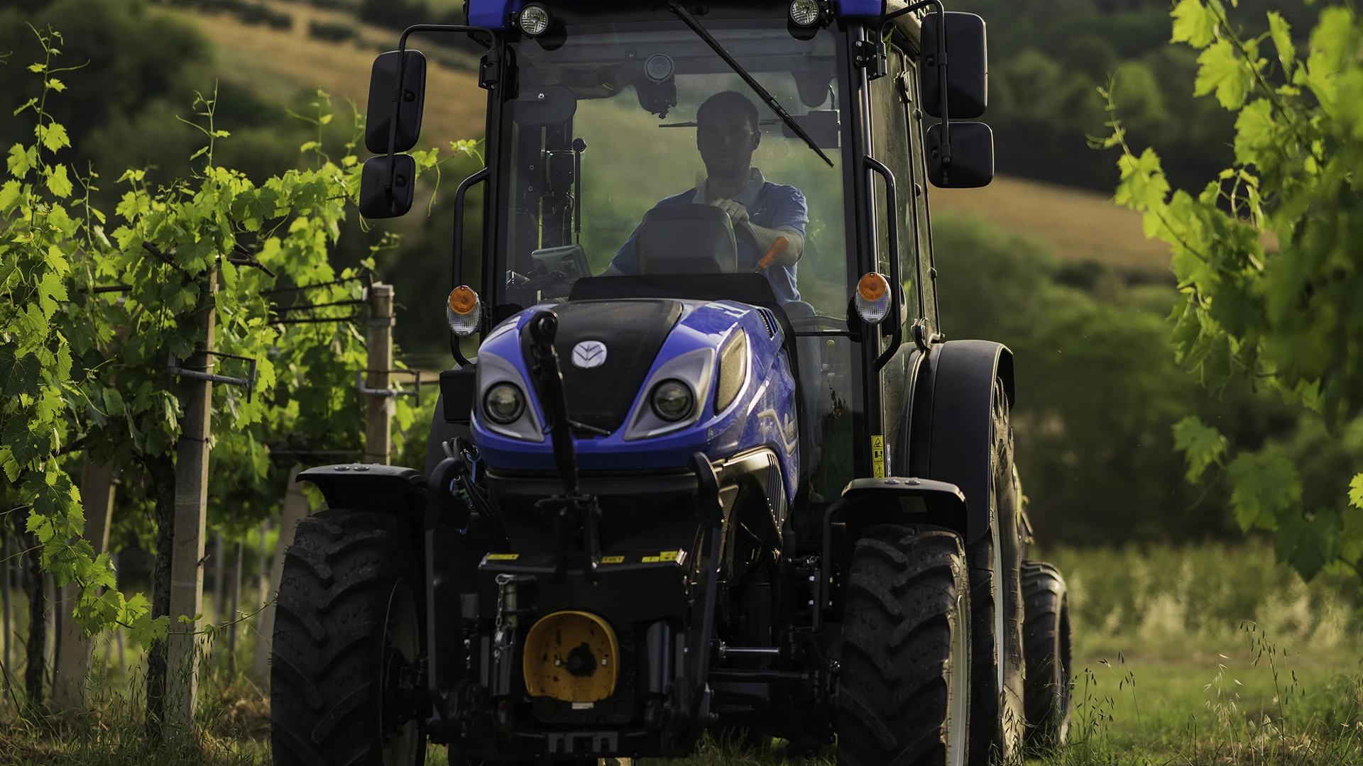 Trattore da Frutteto T4F S | New Holland IT