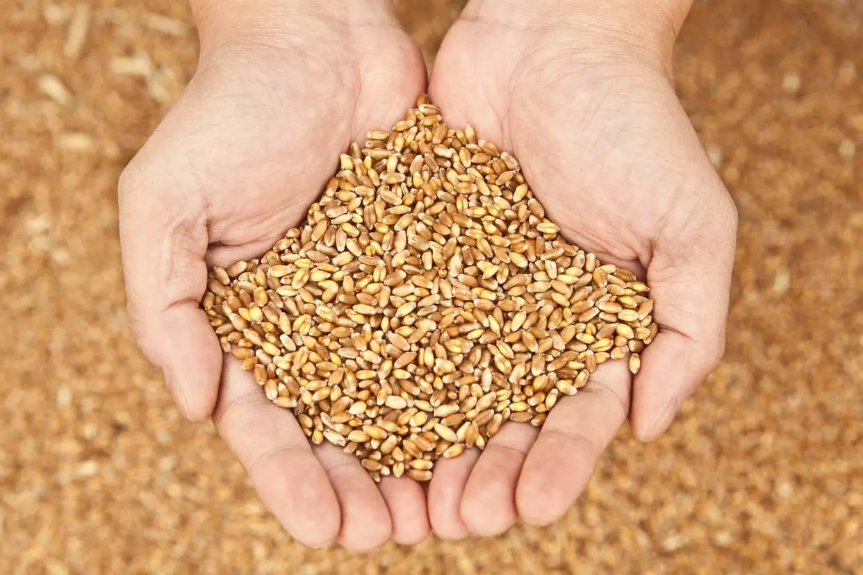 Axial-Flow 4000 Series | Case IH | Case IH