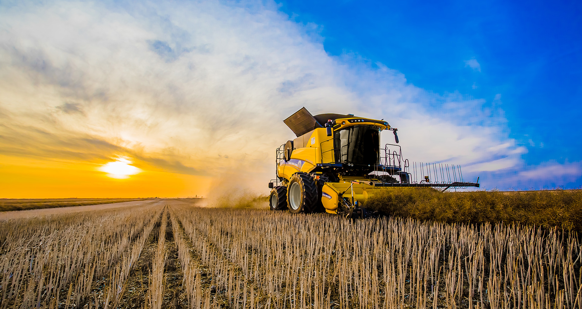 Pickup Heads | Bean Header | New Holland