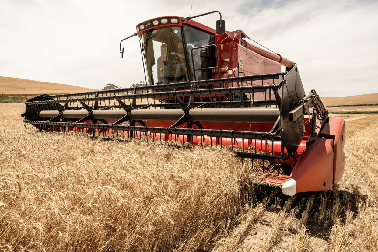 New Case IH Combine!! - Page 2 - General Chat - Red Power Magazine ...