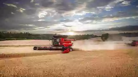 Cosechadoras | Case IH
